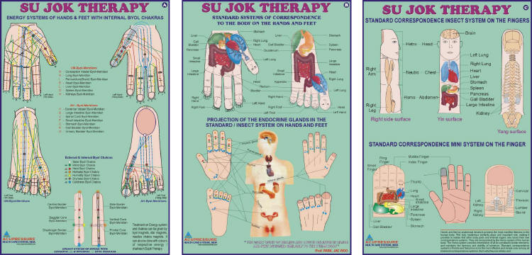SUJOK THERAPY CHART-SET OF 3 – AcuWorld Ecommerce Shopping Portal